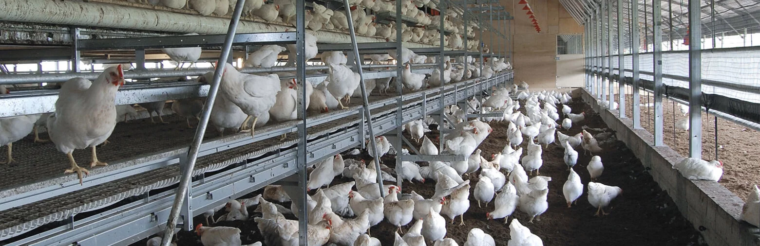 Poultry nutrition : MIKROP